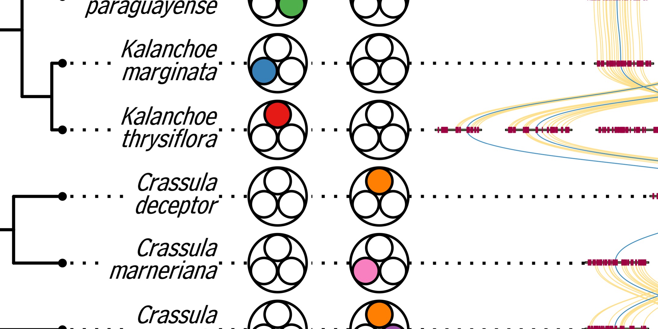 WELCOME | Integrated Bioanalytics